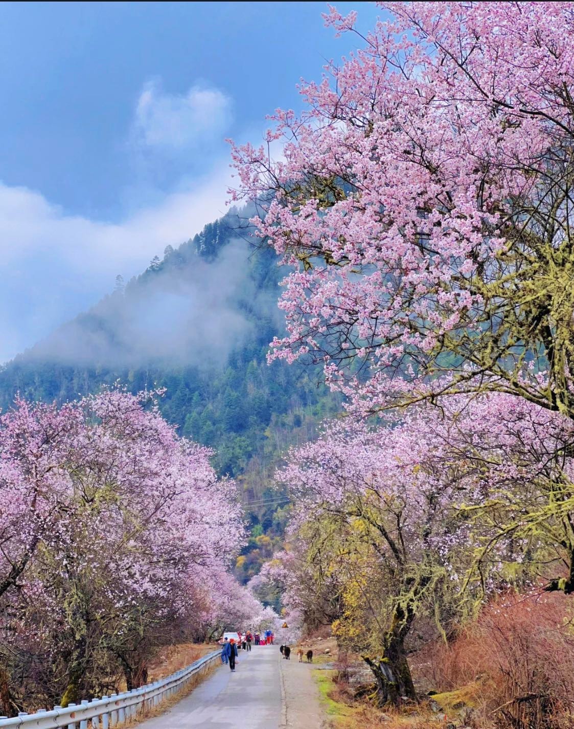 This summer, # Fun in Yangquan is more than one summer. Come and show ...