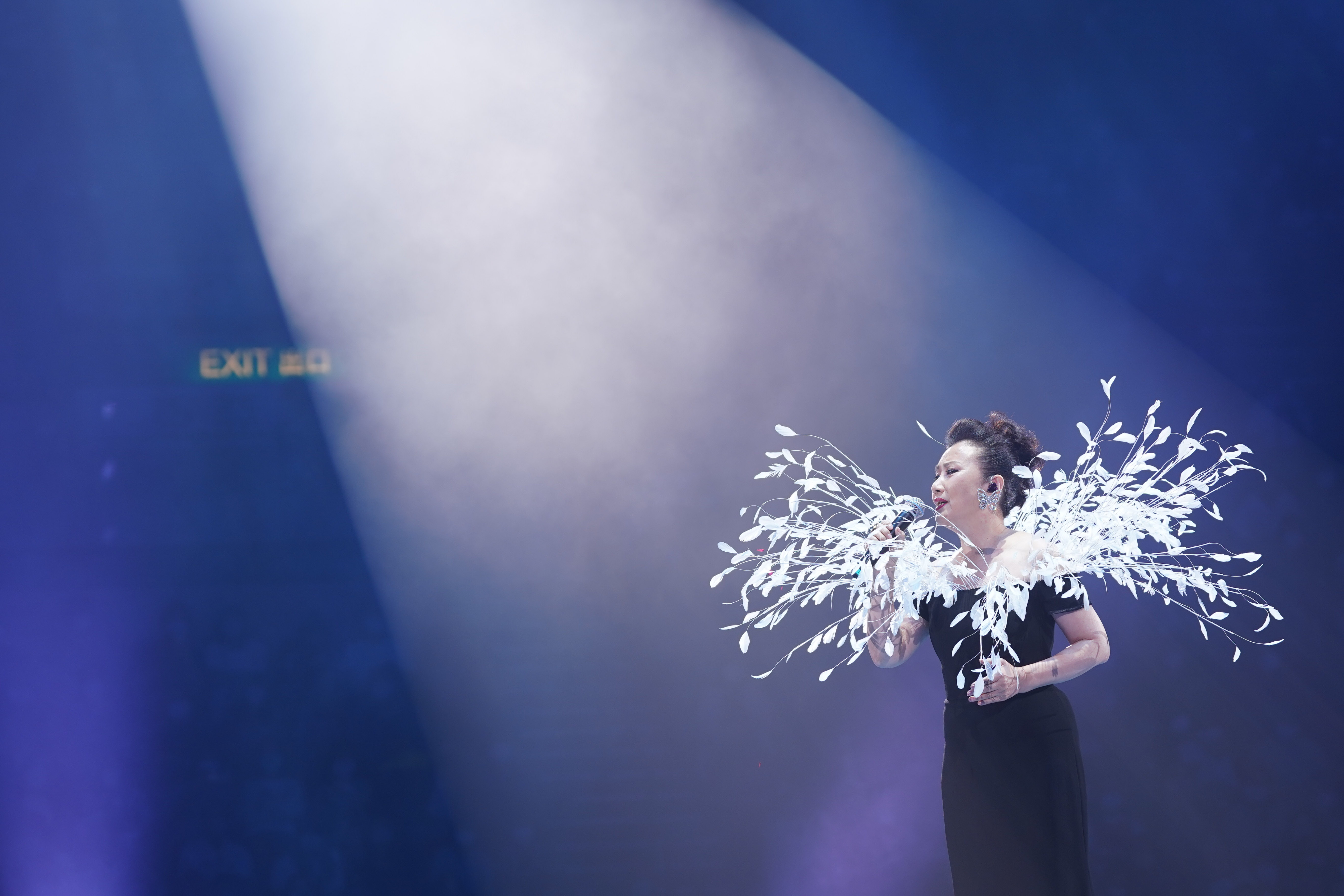 The stars remember the 20th anniversary of Luo Wen's death, Wang ...