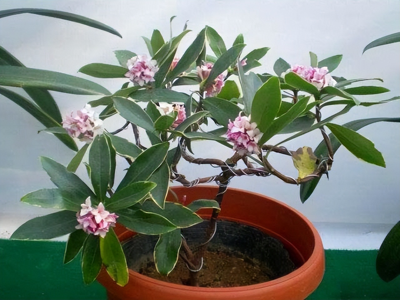 I didn't like it before I bought it, but I feel really fragrant after ...
