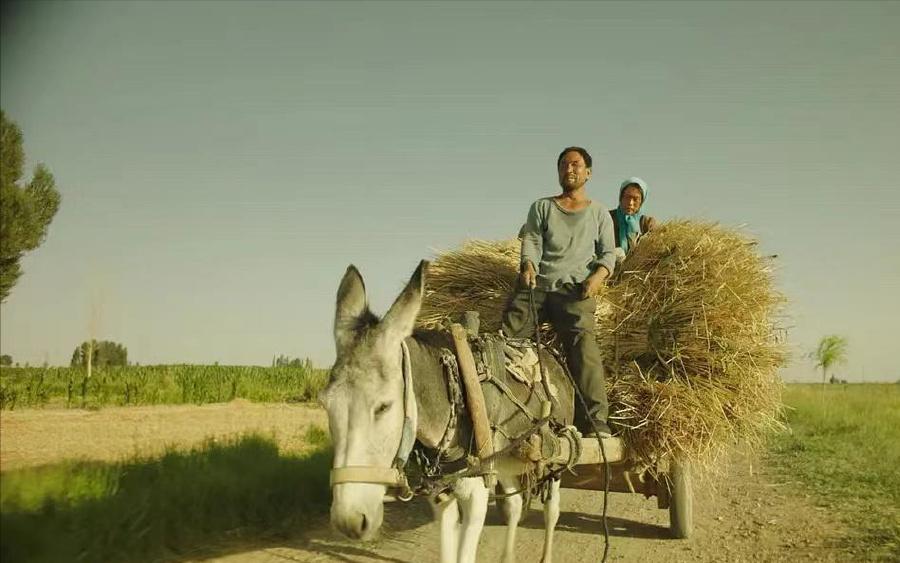 "Hidden in the Dust" was questioned as unreal, out of reality, and too ...