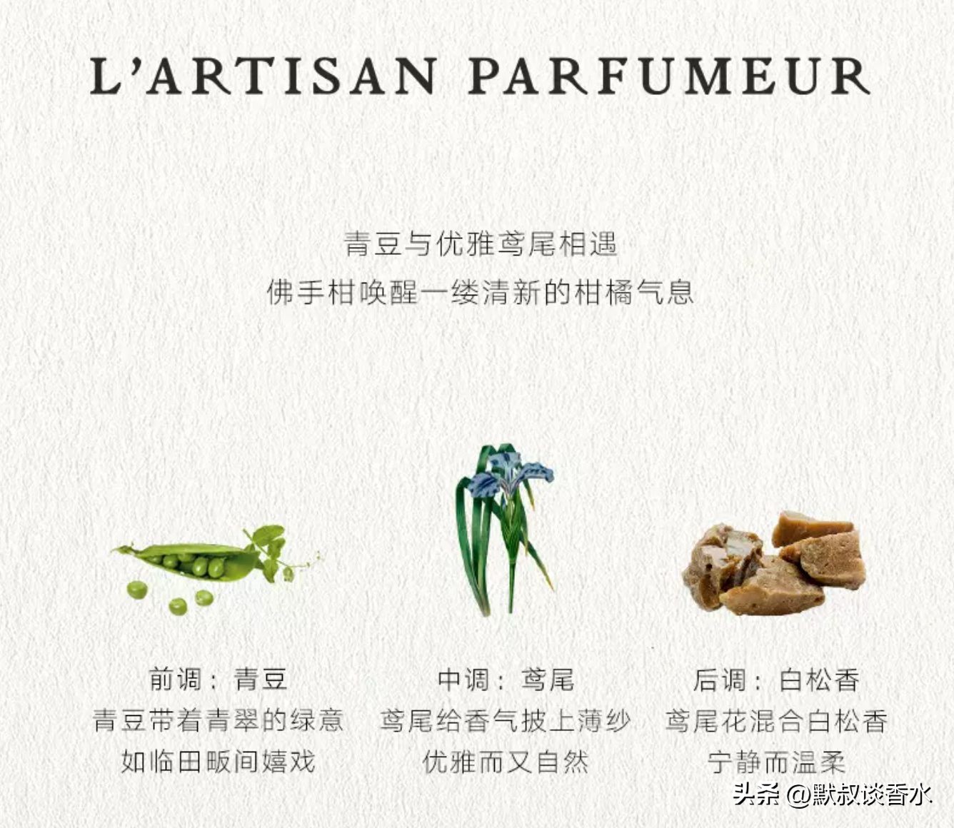 Fresh pea perfume with a high degree of reduction - iMedia