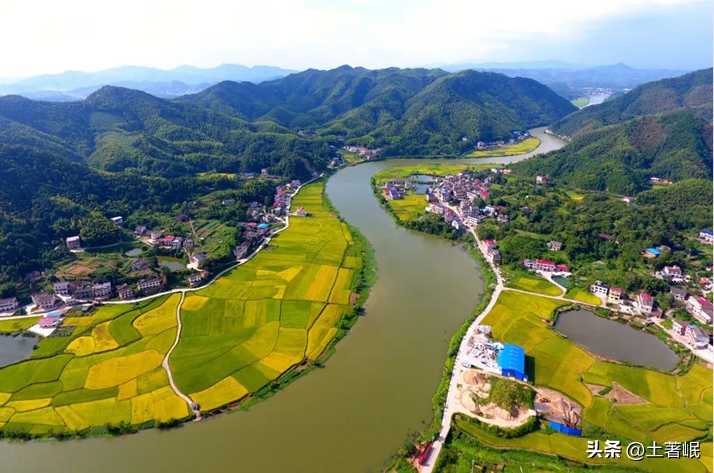 Fuhou Shuangfeng Fu - iMedia