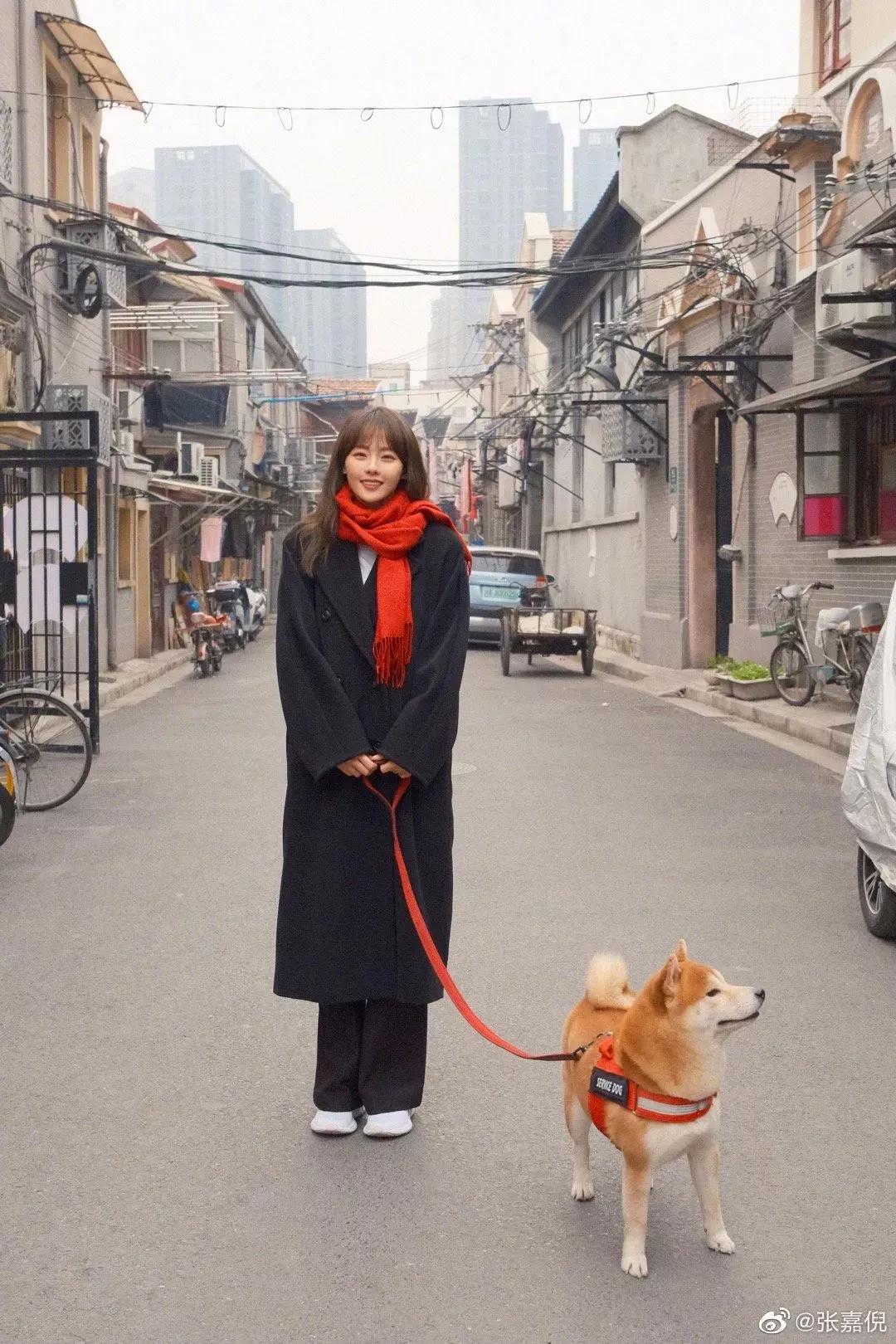 Age-defying girl Zhang Jiani - iMedia