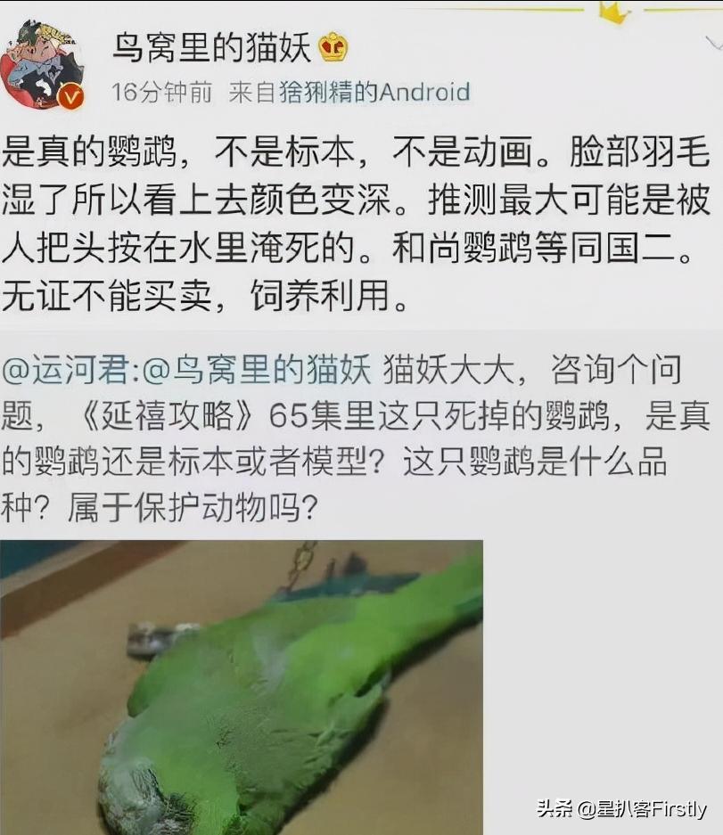 Satire!Actors can use stand-ins in TV dramas, and animals have to be ...