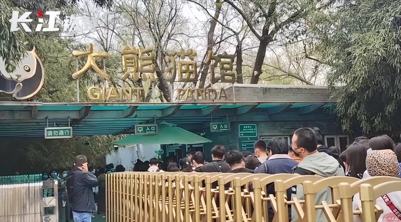 Yaya is about to return to China, and there are crowds in front of the ...