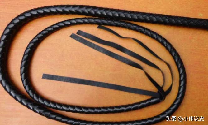 Analysis on the Evolution History of Weapon Whip: From Ancient Mystery ...