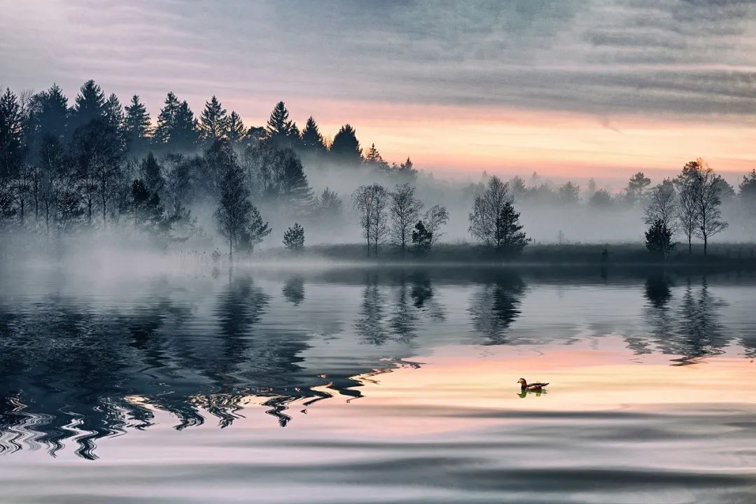 The 8 most incisive sentences of Confucius, each sentence is worthy of ...