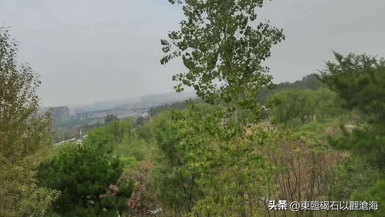 The story of the Northern Zhou Dynasty usurping the Western Wei Dynasty ...