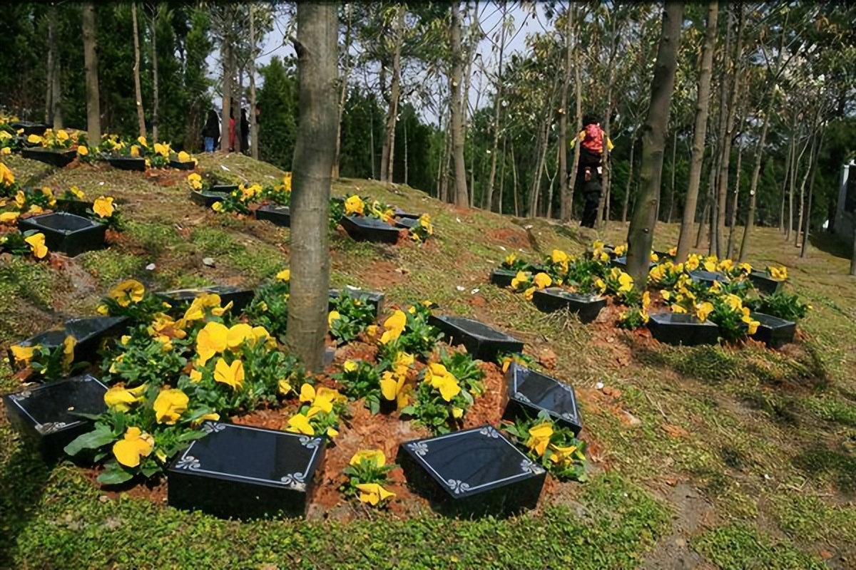 The UK launched a new type of water cremation: the remains are ...