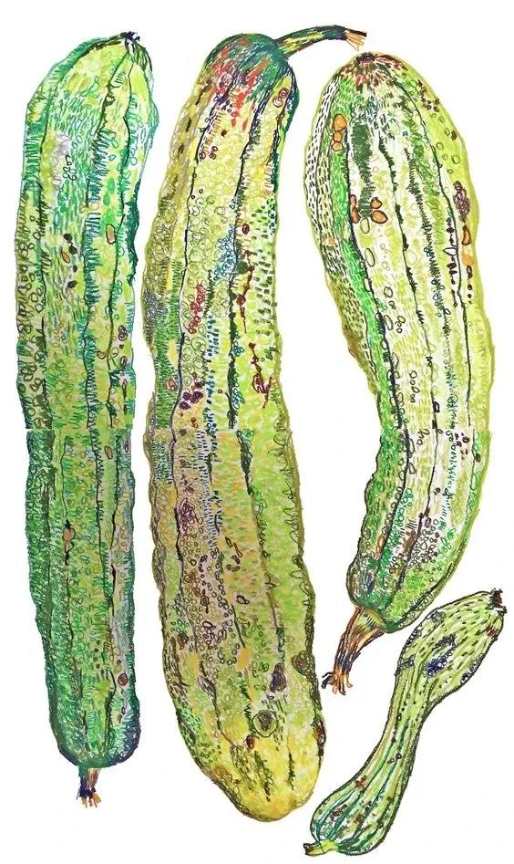 Fruit and vegetable works by Japanese painter Yuko Kurihara - iMedia