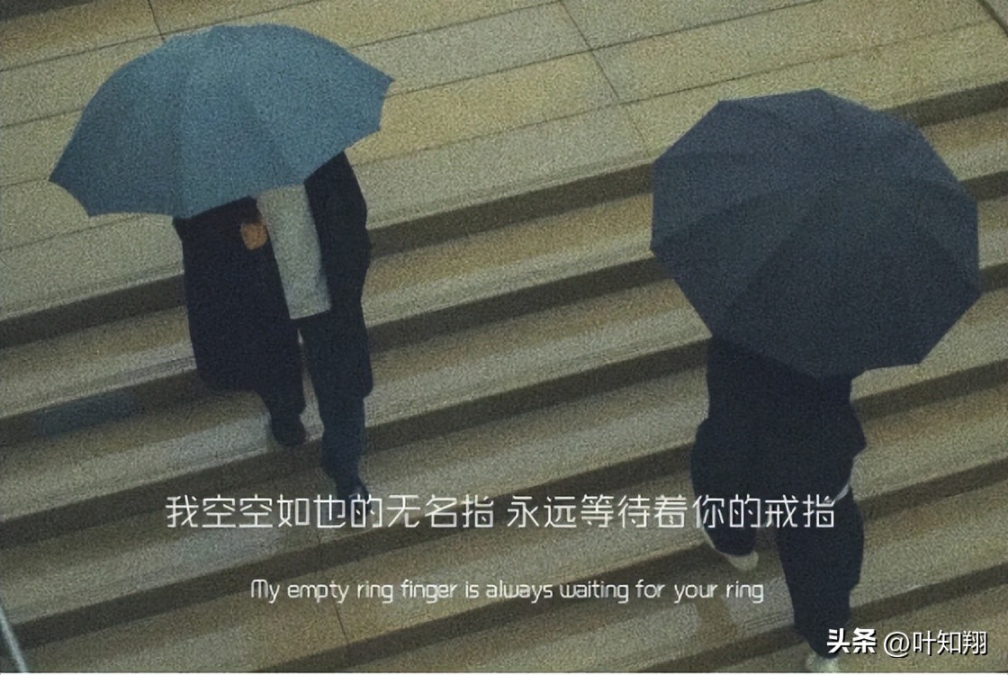 lost sea, lost fish - iNEWS