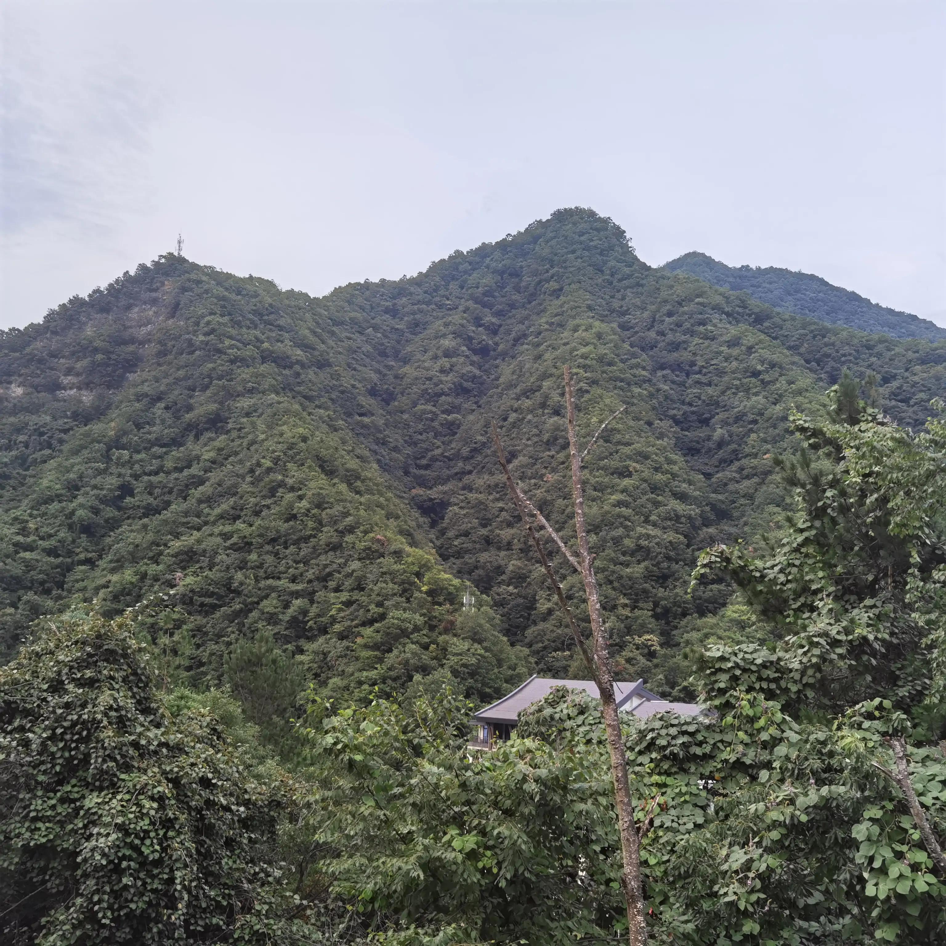 One of the Notes on Muyu Town in Shennongjia - iNEWS