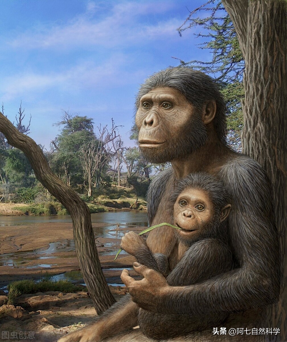 Where did humans originate?Who are the ancestors of human beings?Did it ...