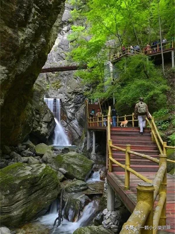 Niubeiliang Forest Park, a natural oxygen bar deep in the Qinling ...