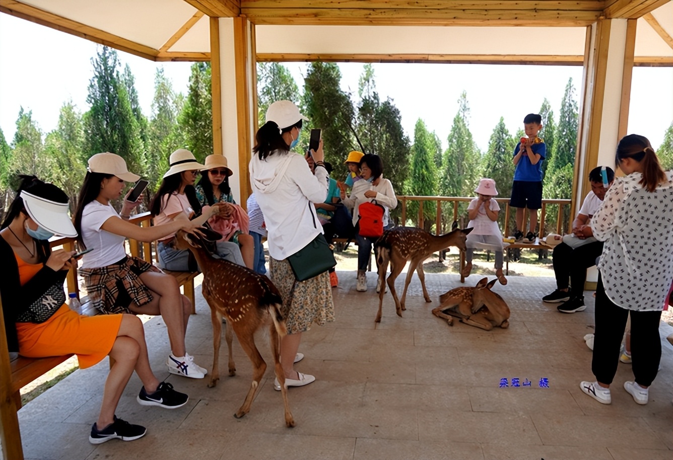 Fuxi Mountain: The beautiful scenery is close at hand, why bother to ...