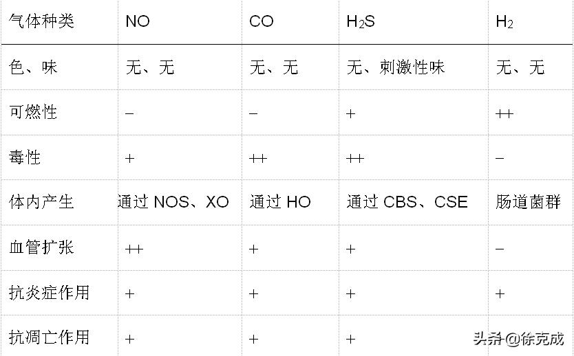 Hydrogen Health Science - Hydrogen Biosafety - iNEWS