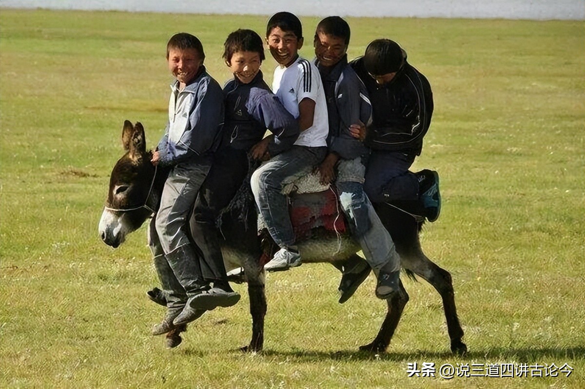 [Nian Army, A Forgotten History] 28. Donkey Cavalry and Mule Cavalry of ...