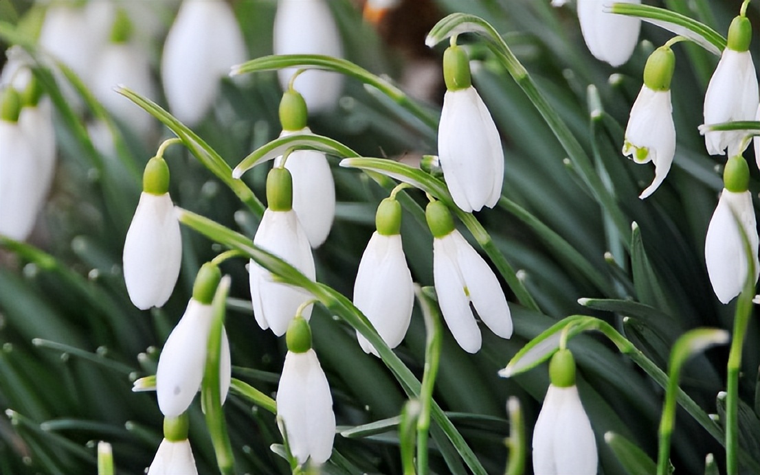 Plants not only have a sense of touch but also a sense of direction ...