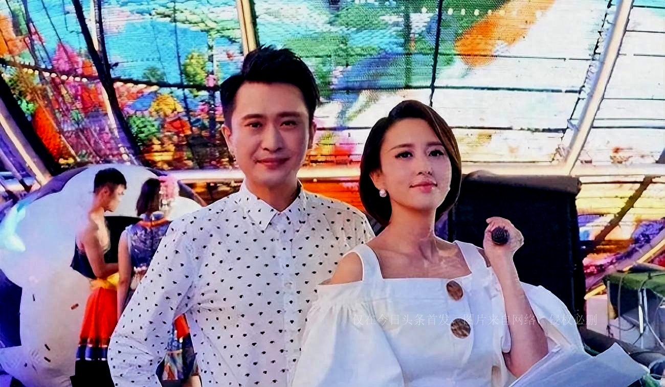 CCTV host Yang Fan: He married a mediocre wife, Li Songqi, and had two ...
