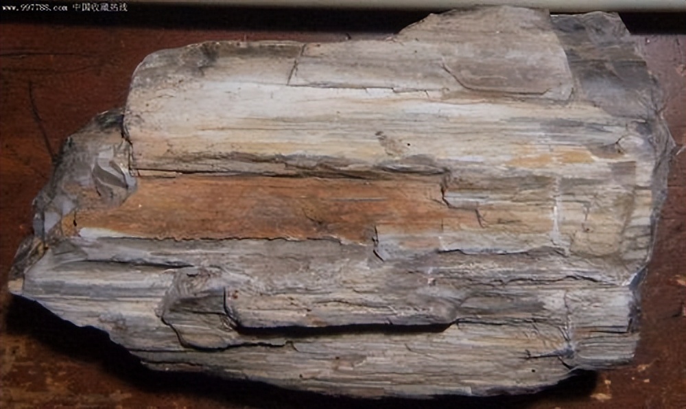 Petrified wood is a peculiar fossil on the earth, formed by volcanic ...