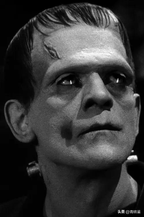Themes Reflected from the Perspective of the Characters in Frankenstein ...