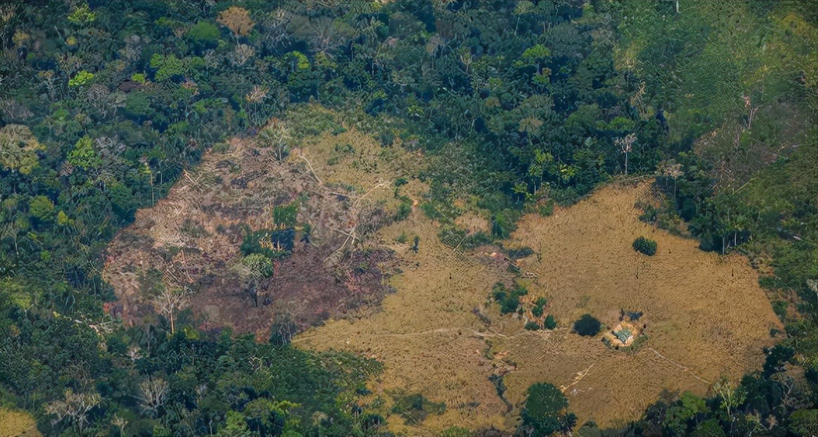 Where is the largest plain in the world, living across the territory of ...