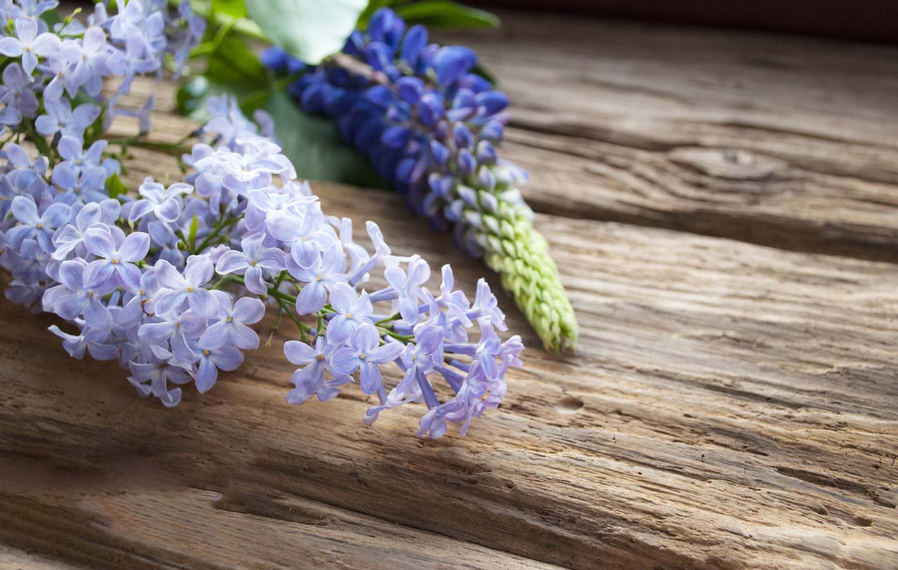 Don't underestimate this traditional Chinese medicine, it is all about ...