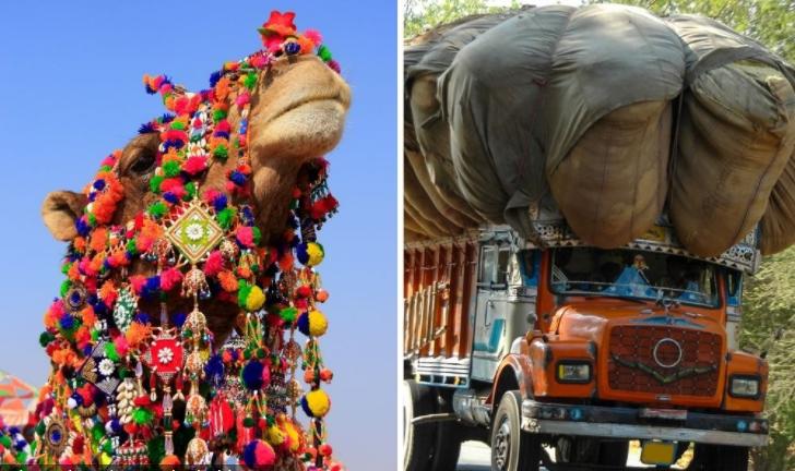 Unusual and expensive things only seen in India - iNEWS