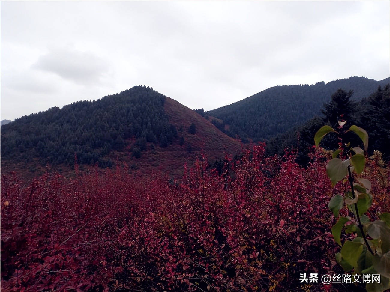 "Qiu Deng When Zhou Shenshan feels (seven songs)" - iNEWS