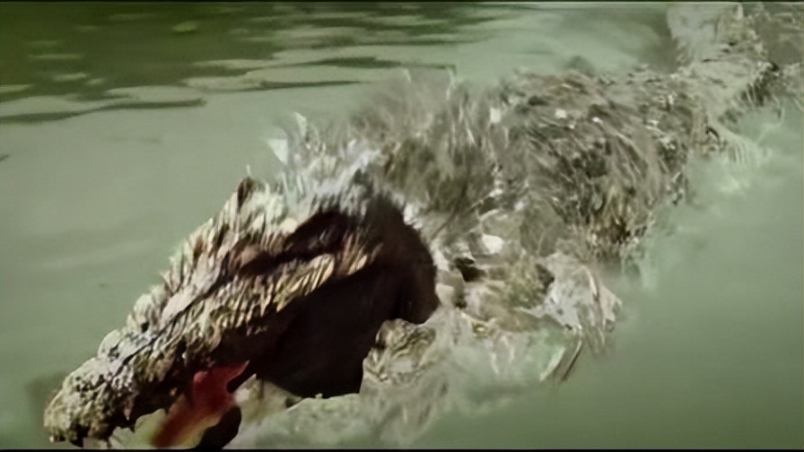 Veteran Feng Zicai was ordered to resist the invaders when he was in ...