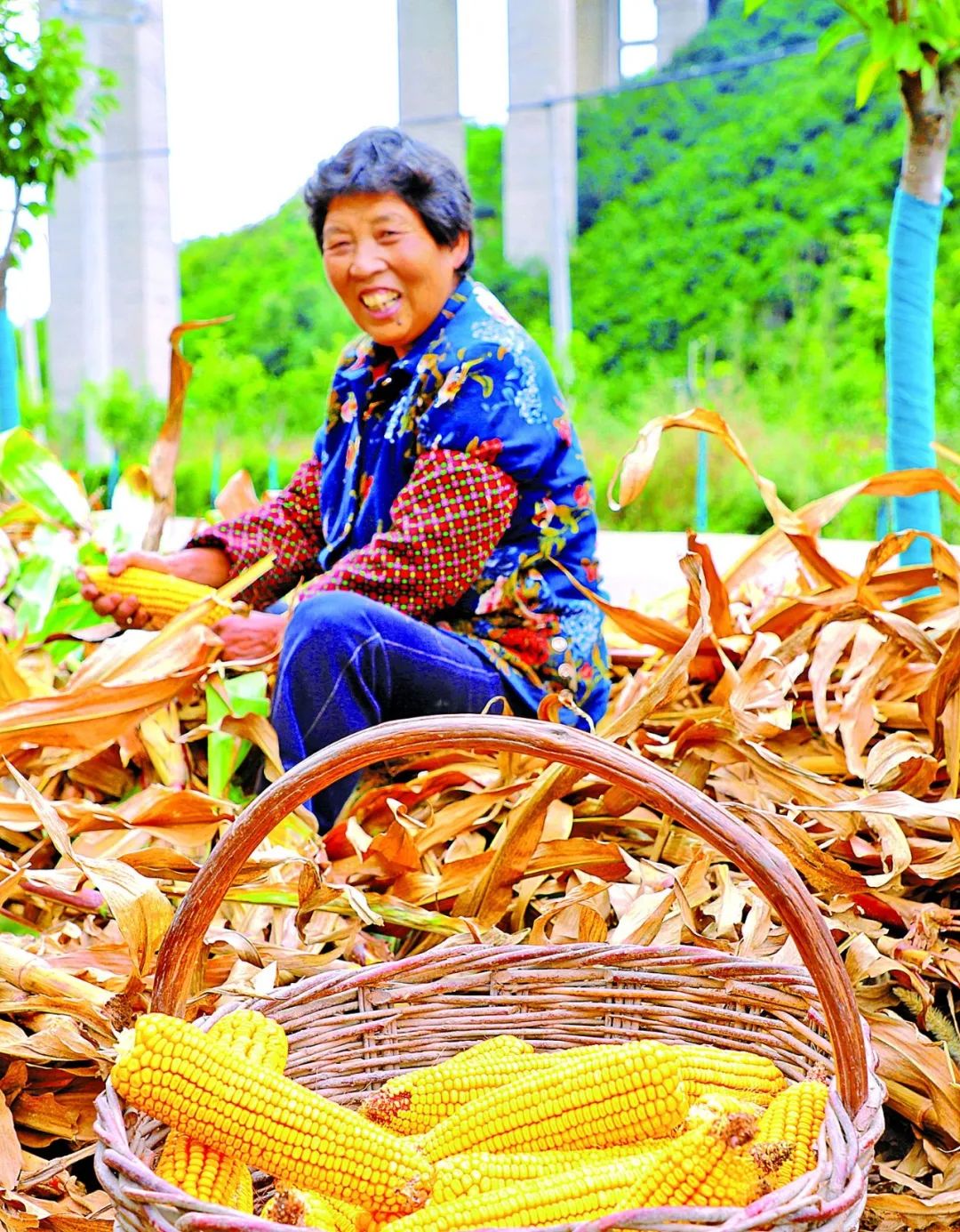Beautiful!What a beautiful autumn scenery of Tongchuan - iNEWS