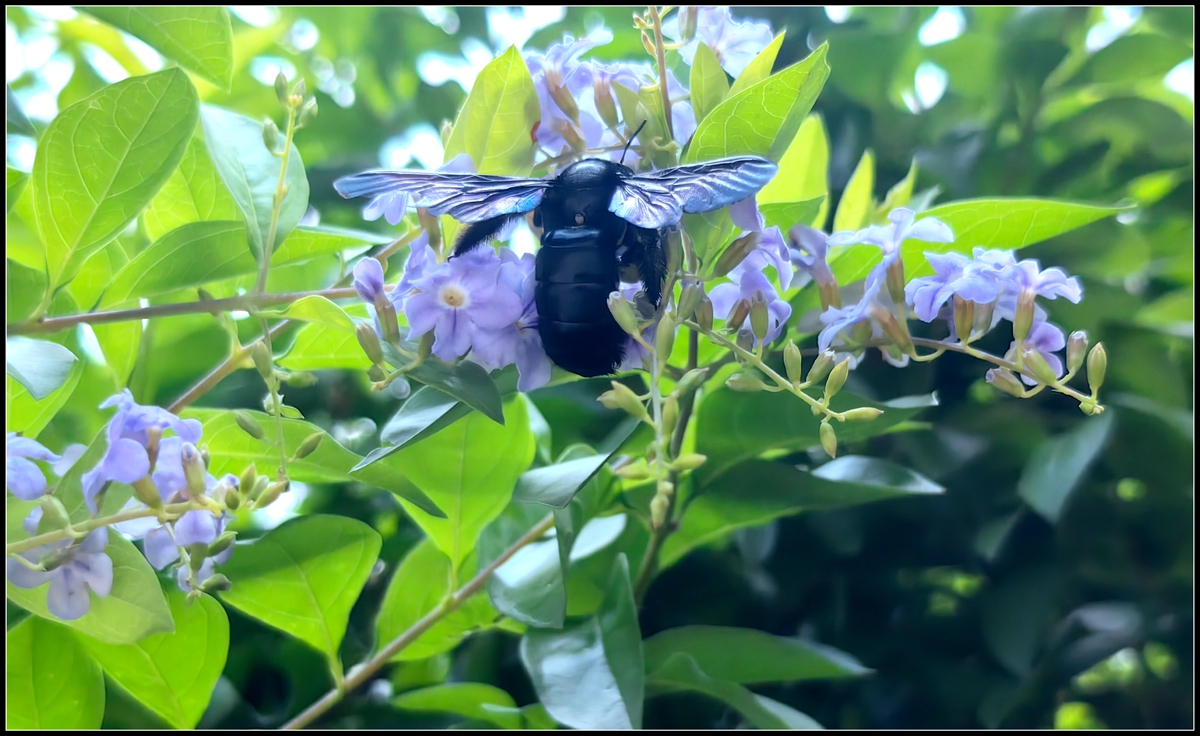 Appreciation and Enlightenment of Ancient Poems Encouraging Learning ...