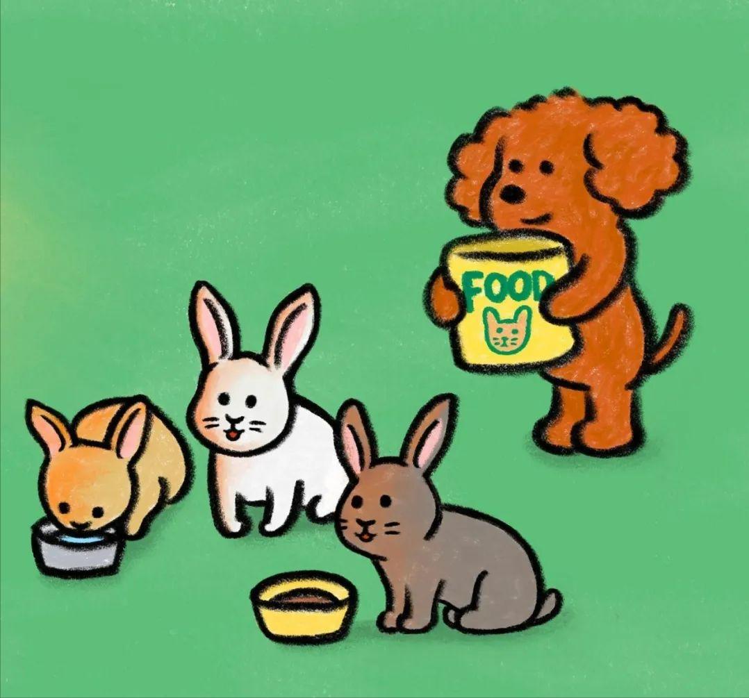 [Hongshi Shuobo] The animal cartoons written by the illustrator feel a ...