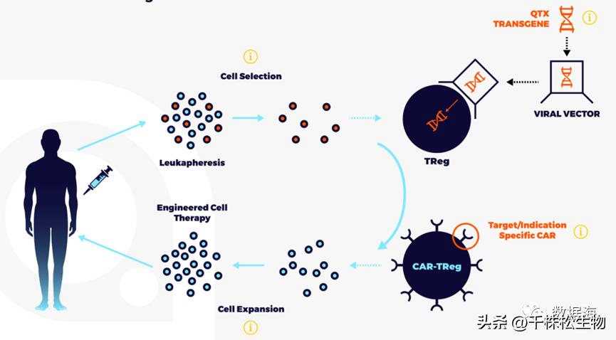 AstraZeneca to partner with Quell Therapeutics to develop cell ...