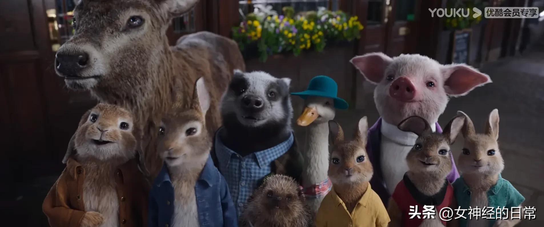 "Peter Rabbit 2: The Escape Plan": Learn to accept yourself and love ...