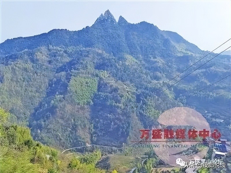 Liangzi of a Thousand Mouths-Zeng Qingfu - iNEWS