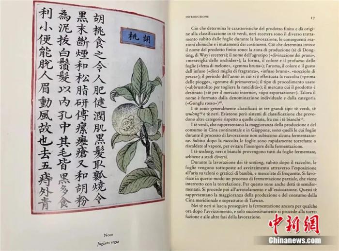 Italian Sinologist Mark: A Gentleman Fascinated by Chinese Culture - iMedia