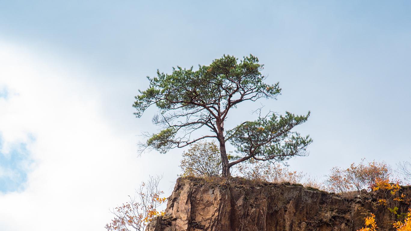 Yuan Haowen lived in seclusion to study history, read letters from ...
