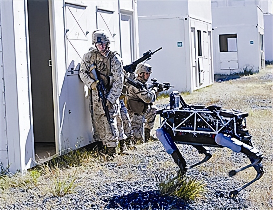 China's Armed Robot Dog: A Step Into the Future of Unmanned Warfare - iNEWS