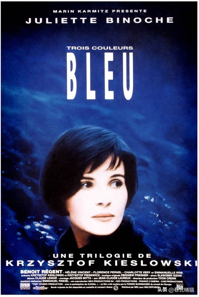 What kind of freedom does the protagonist of the film "Blue White Red ...