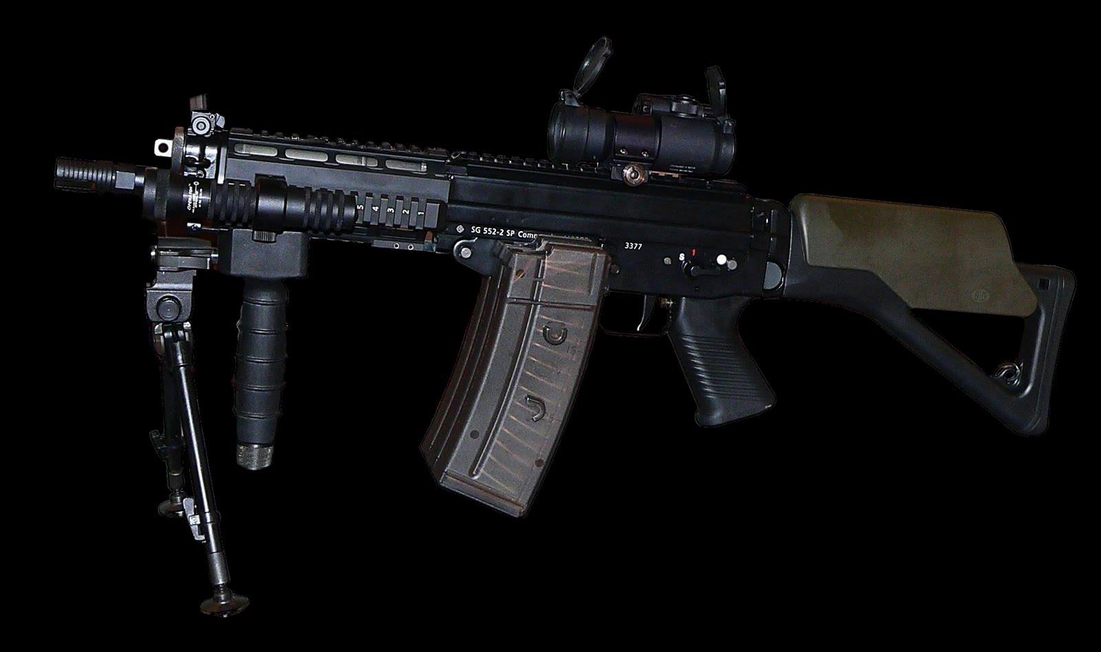 SG 550 Assault Rifle - iNEWS