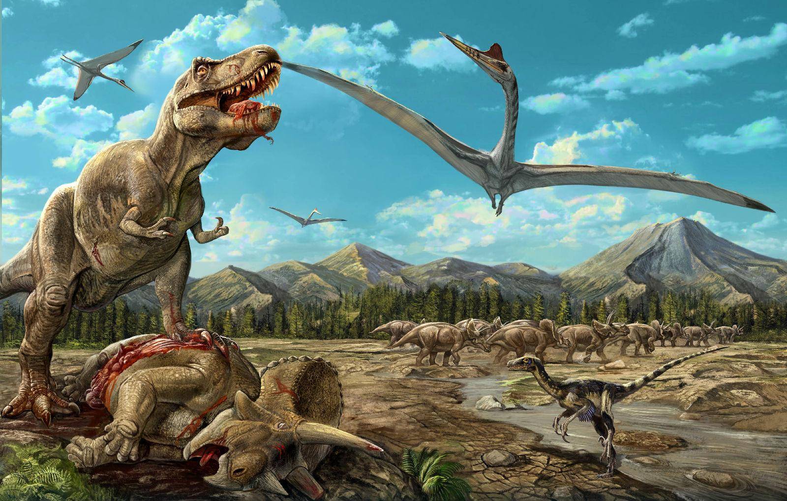 Did dinosaurs become extinct or did they evolve? You maybe raised a dinosaur? - iNEWS