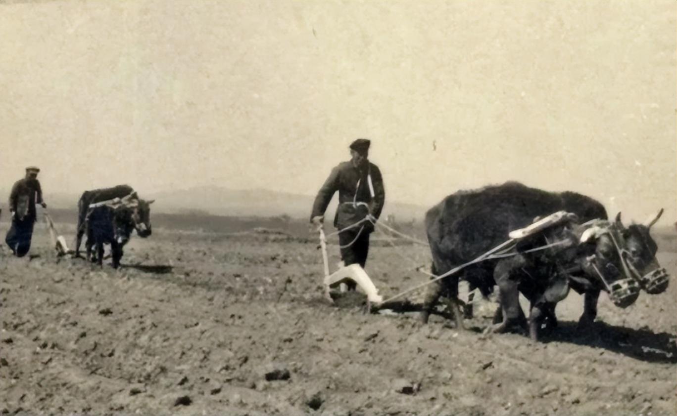 Born as a farmer, he was illiterate and could not lead soldiers. He ...