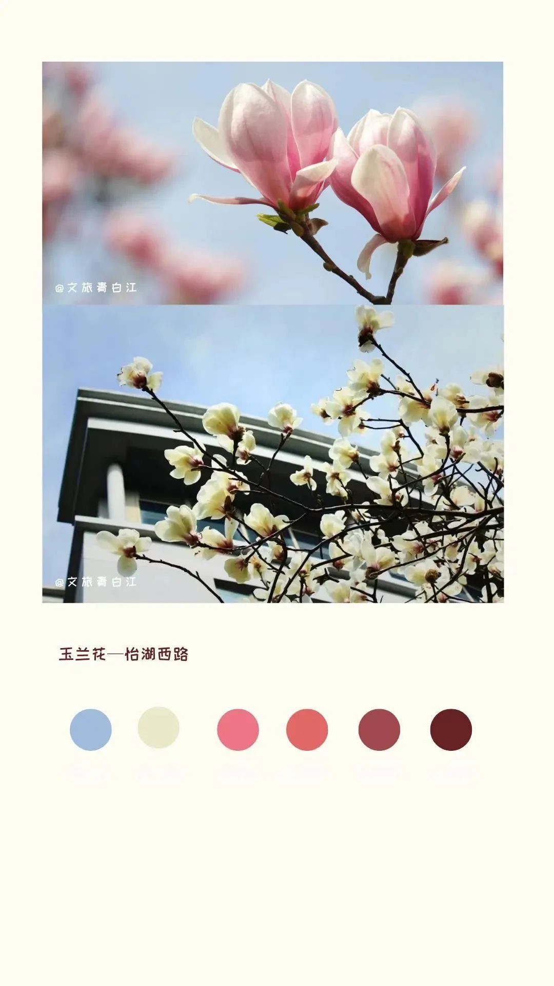 Qingbaijiang, beautiful! - iNEWS