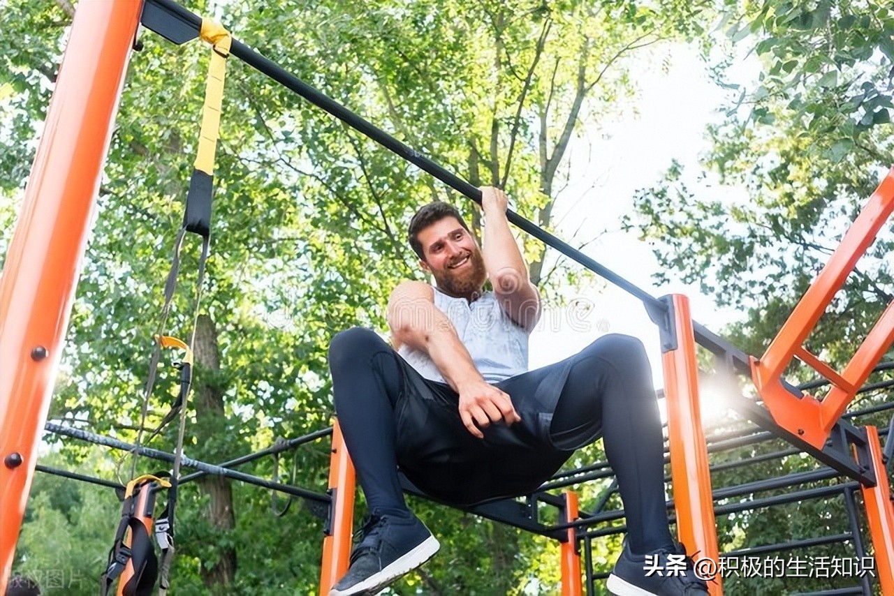 Pull-Ups: The Complete Guide from Beginner to Master - iMedia