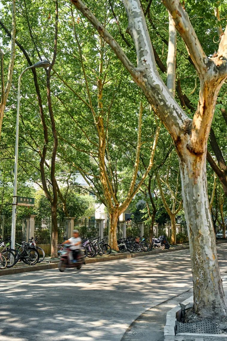 Huaxing Road may be the best street in Hangzhou, worth walking nine ...