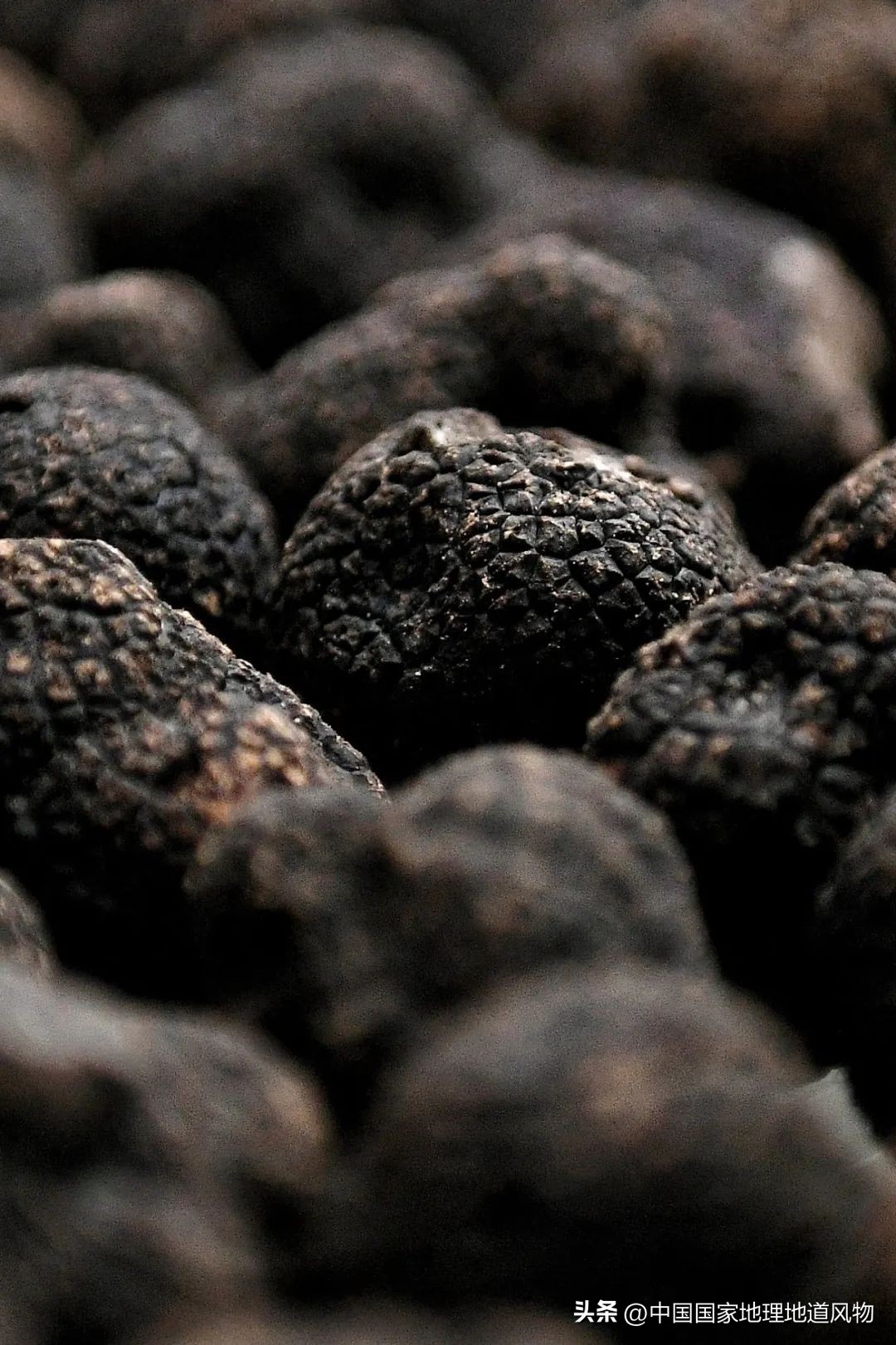 From "black diamond" to "pig arch fungus", how can the Chinese pull ...