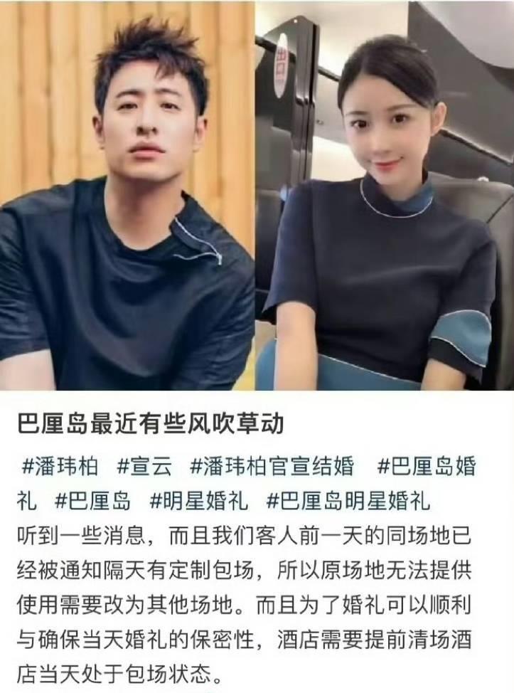 Wilber Pan and Xuan Yun dedicated their wedding to a white-skinned pig ...