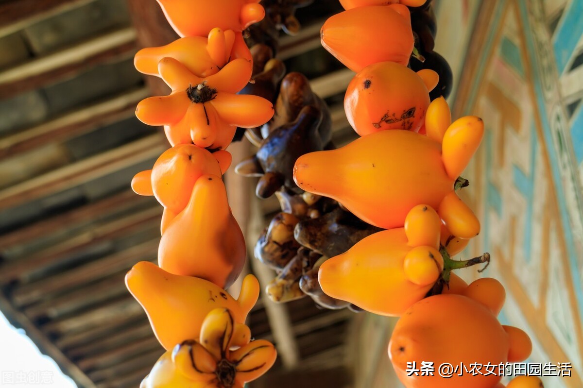 Three kinds of "lucky fruits", plant one at home, happy and good luck ...