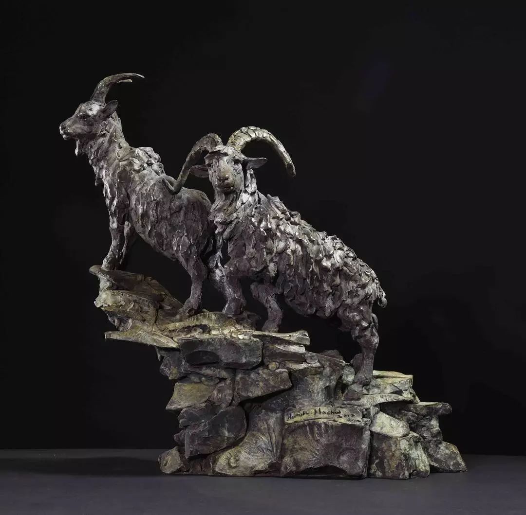 Hamish Mackie's vibrant animal sculptures - iNEWS